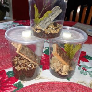 Mantis Habitat Kit - Bugs In Cyberspace