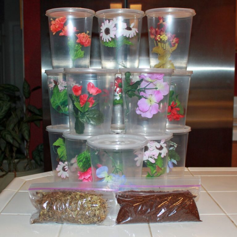 Mantis Habitat Kit - Bugs In Cyberspace